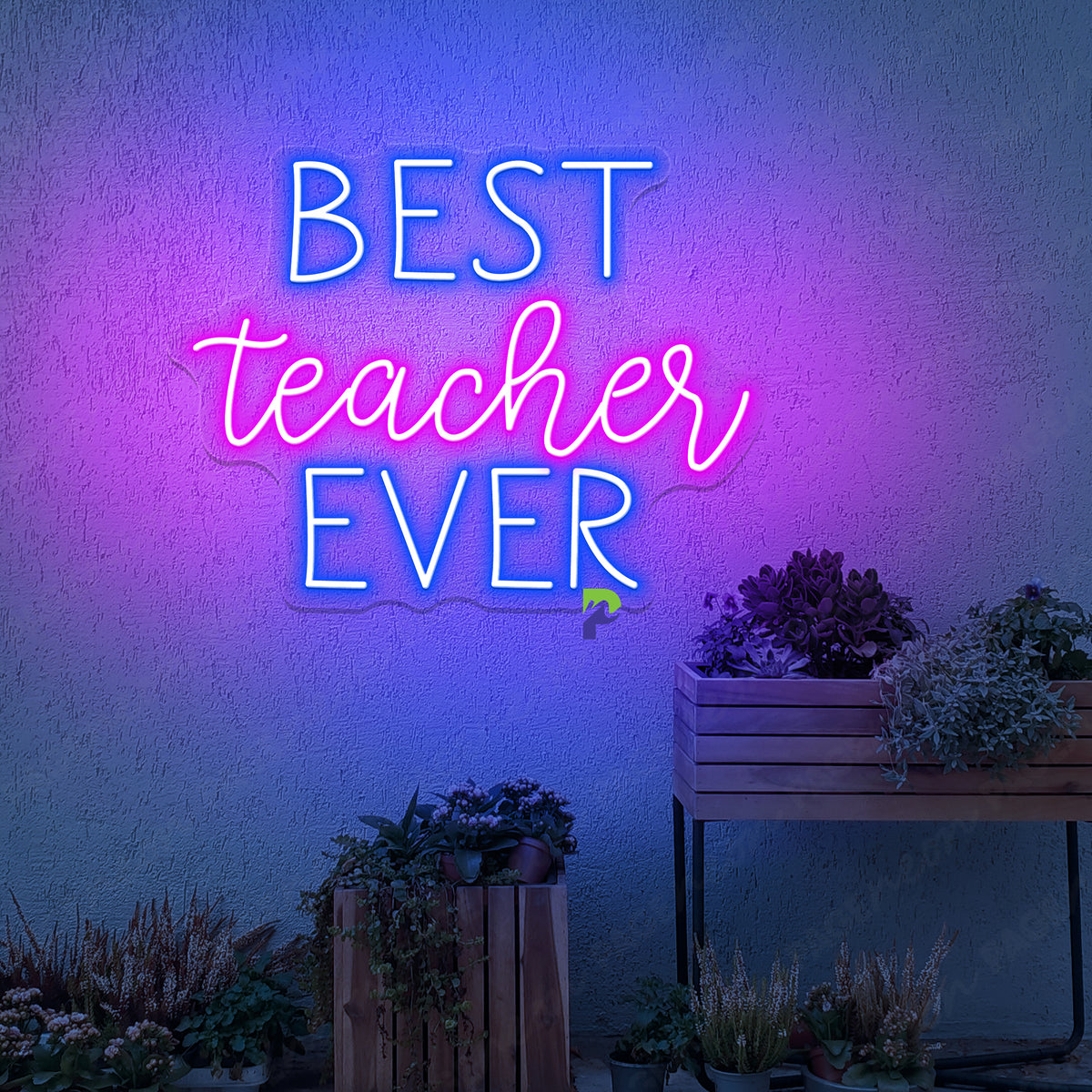 Best Teacher Ever Neon Sign Teacher Appreciation Led Light - PageNeon